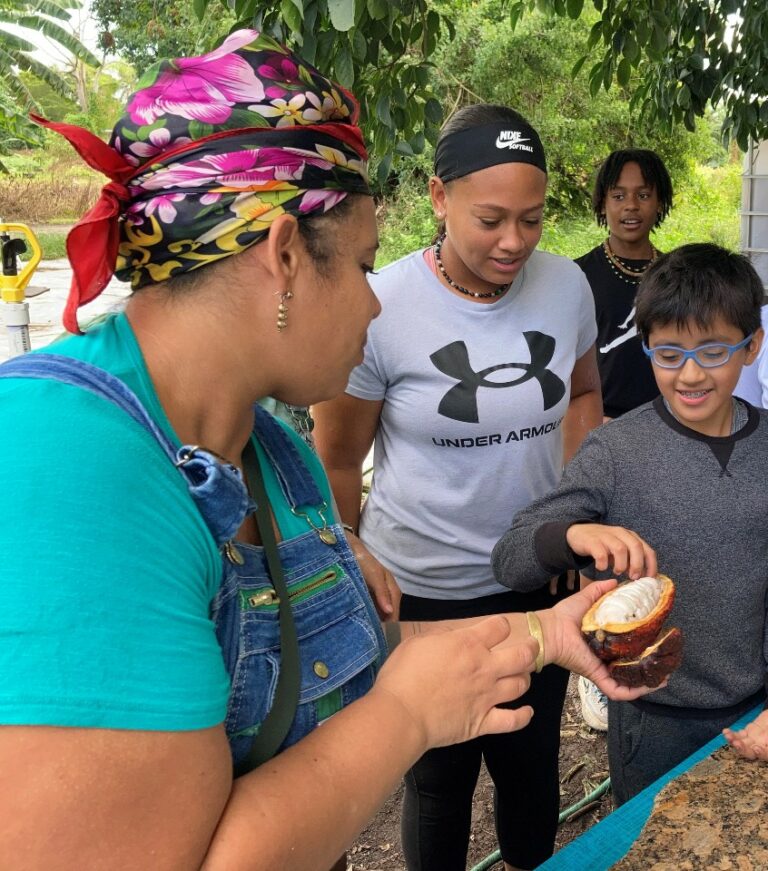 School & Provider Partnerships - Step Up For Students