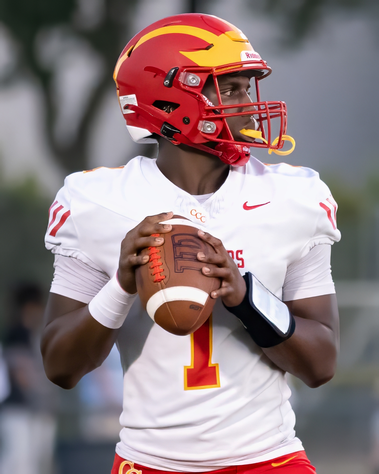 Ed Choice Scholarship A Winning Combo For The Newton Family And Clearwater Central Catholic ...